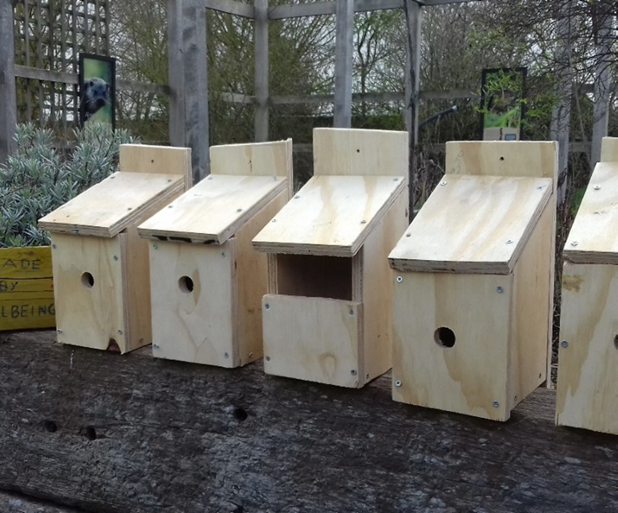 Naturally Creative: Bird Box Building (In Person) @ Oakleaf - Oakleaf ...